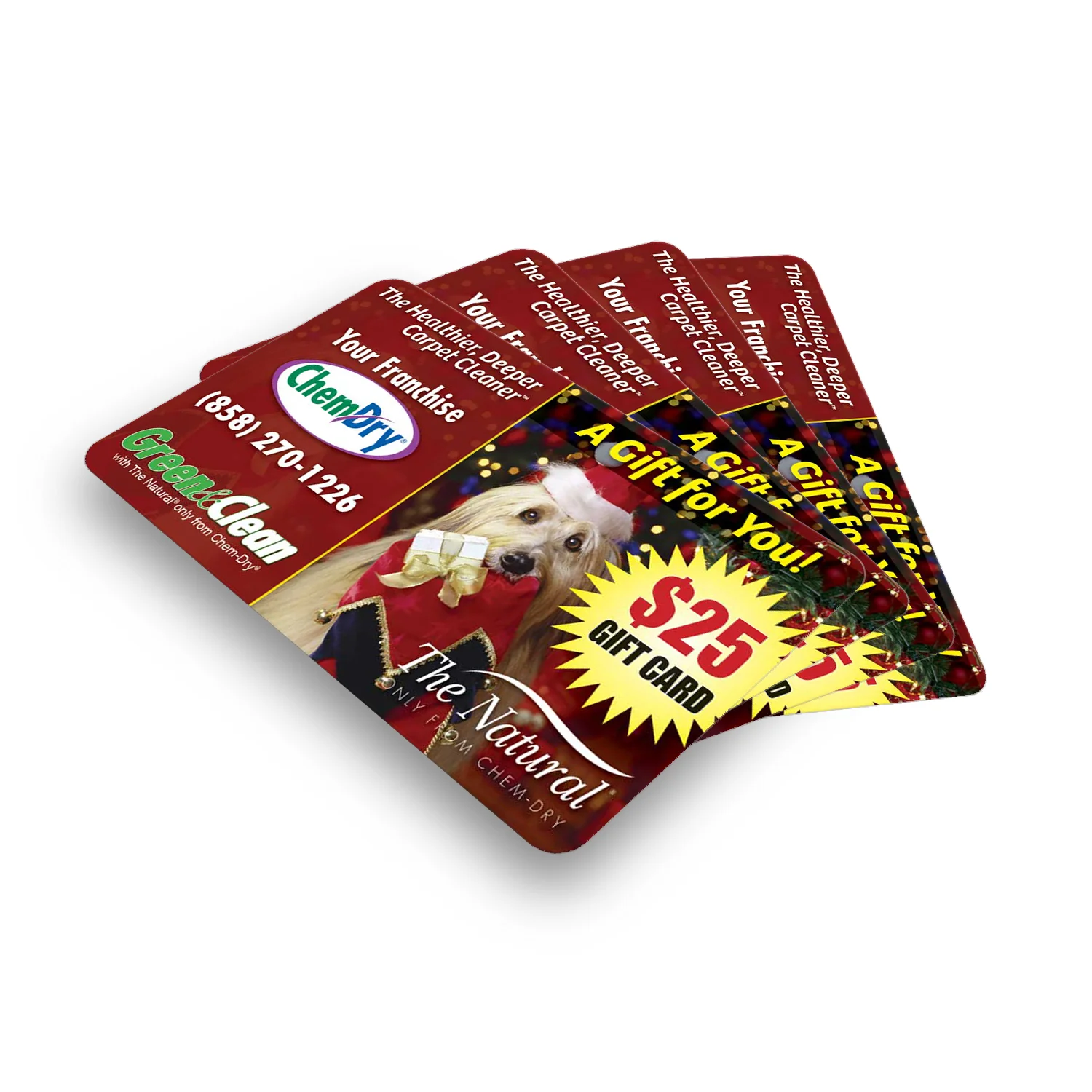 ChemDry | Franchise Print Shop