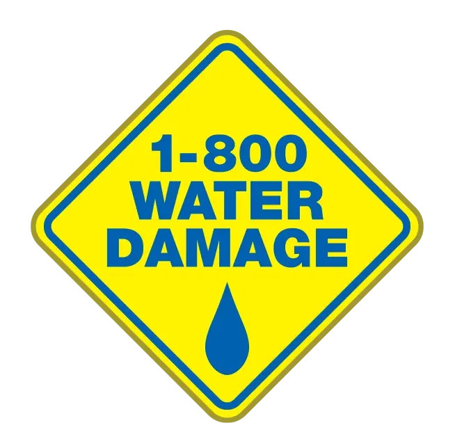 1-800-Water Damage | Car Magnets | Franchise Print Shop